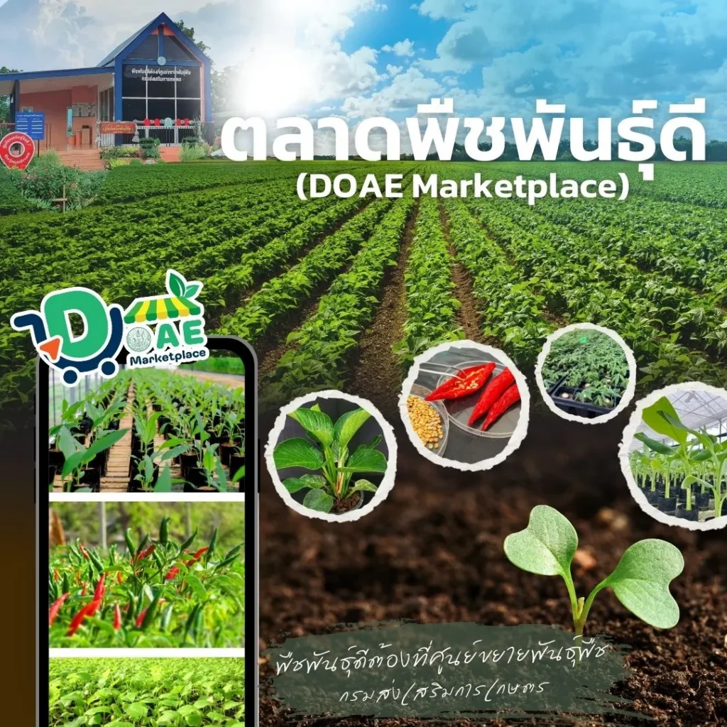 สำนักงานเกษตรจังหวัดสงขลา